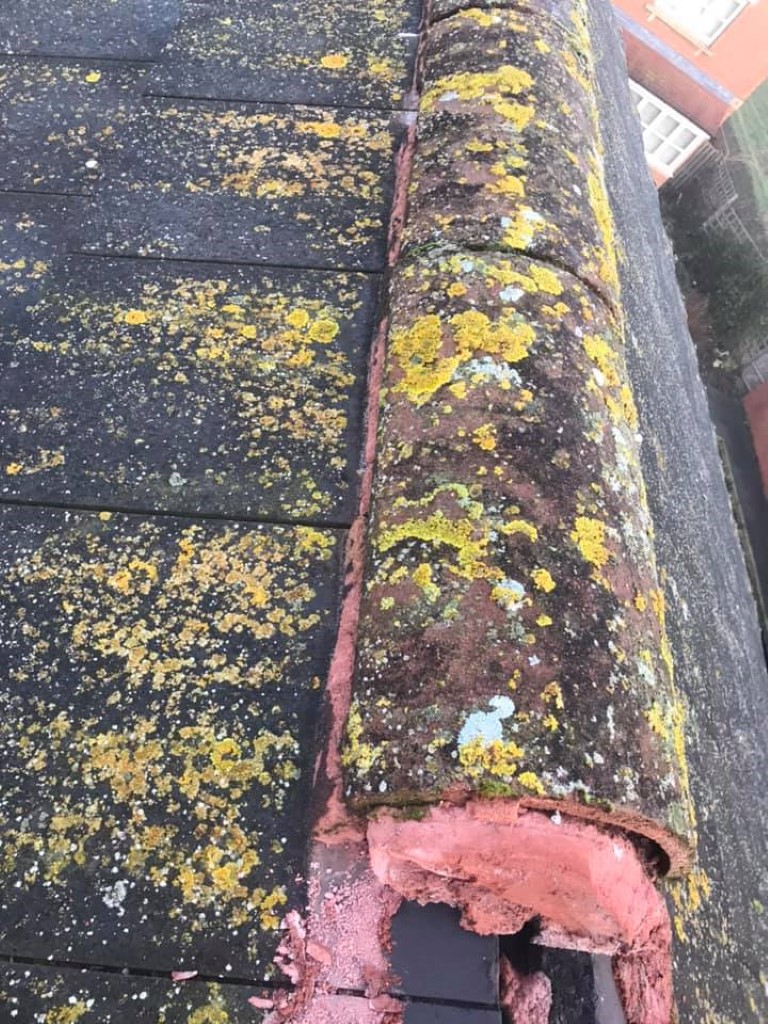 Ridge Tile Repair Service Dublin | Dry Ridge Installers